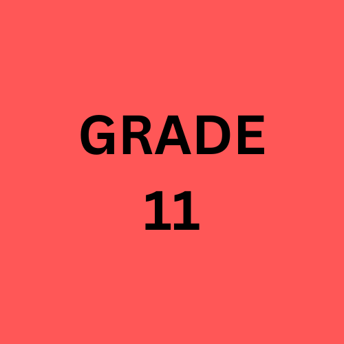 GRADE 11 – School Seconds