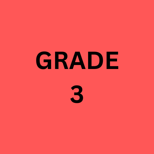 GRADE 3 – School Seconds