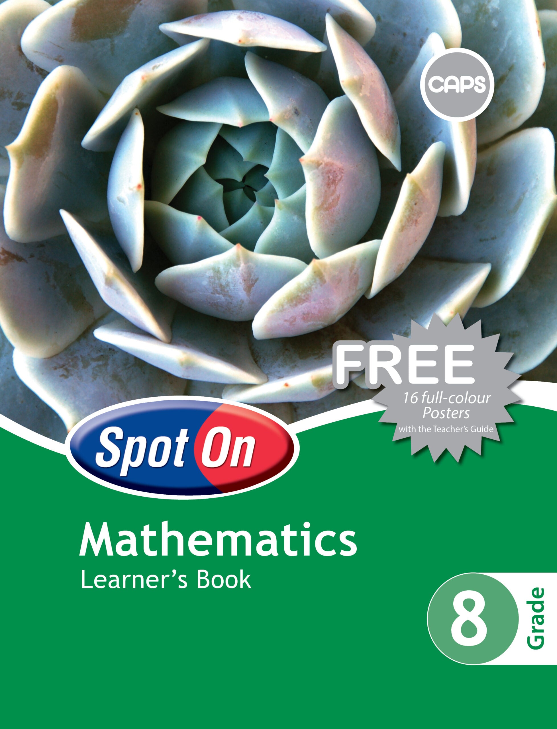SPOT ON MATHEMATICS GRADE 8 – School Seconds